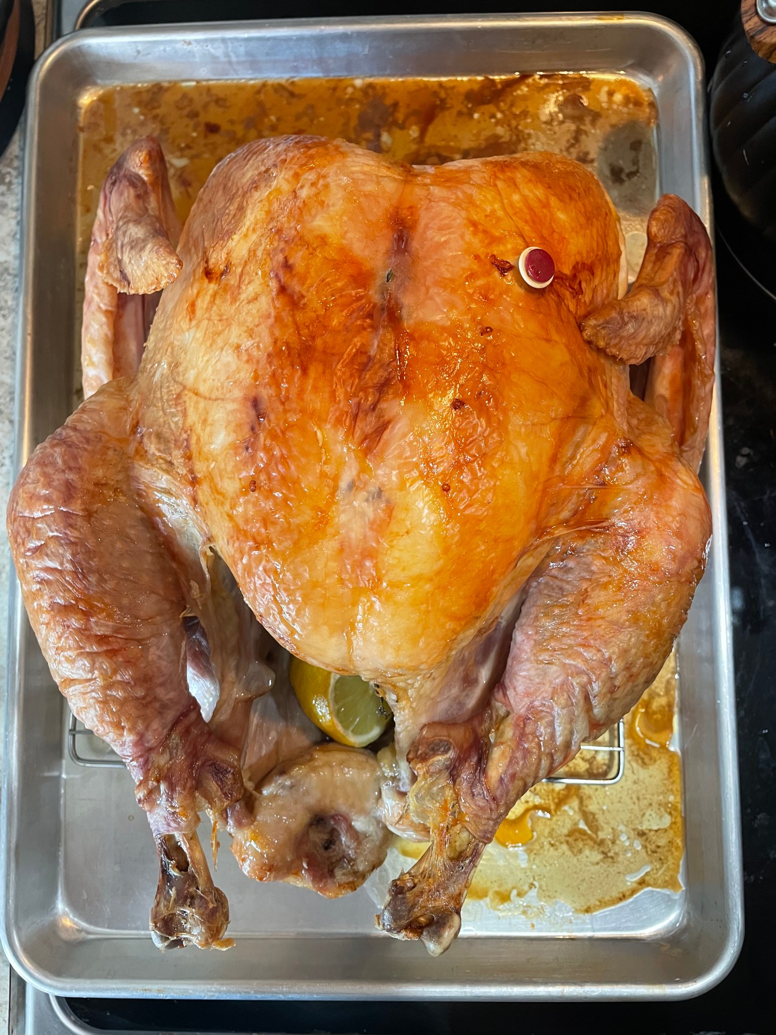 A Whole Bird: how to enjoy – Honey and the Hen